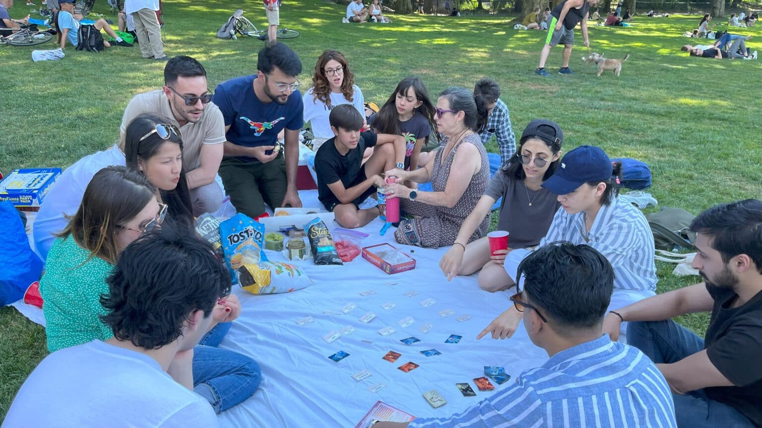 Meet-Up: Games & Picnic in the Park